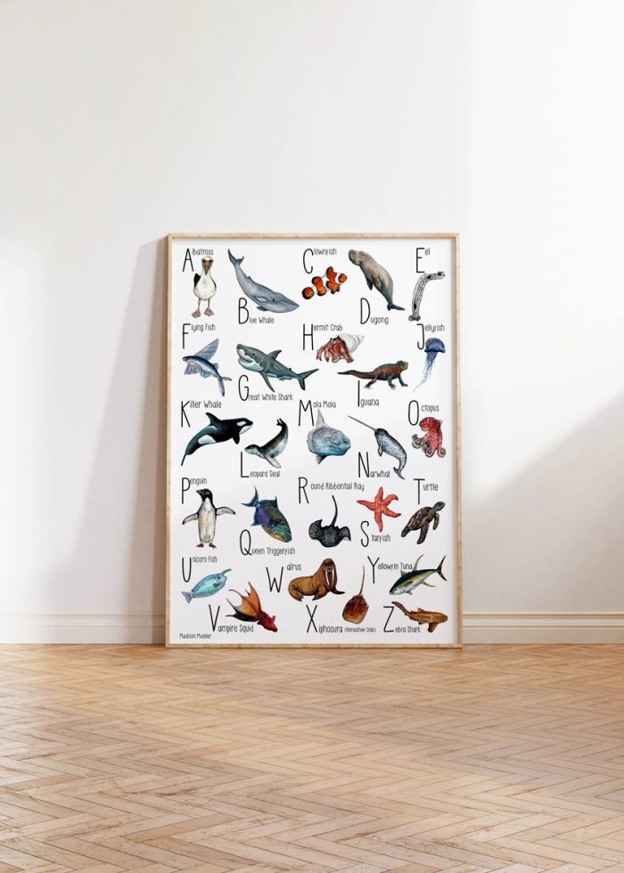 Madison Mueller | Marine Alphabet Poster